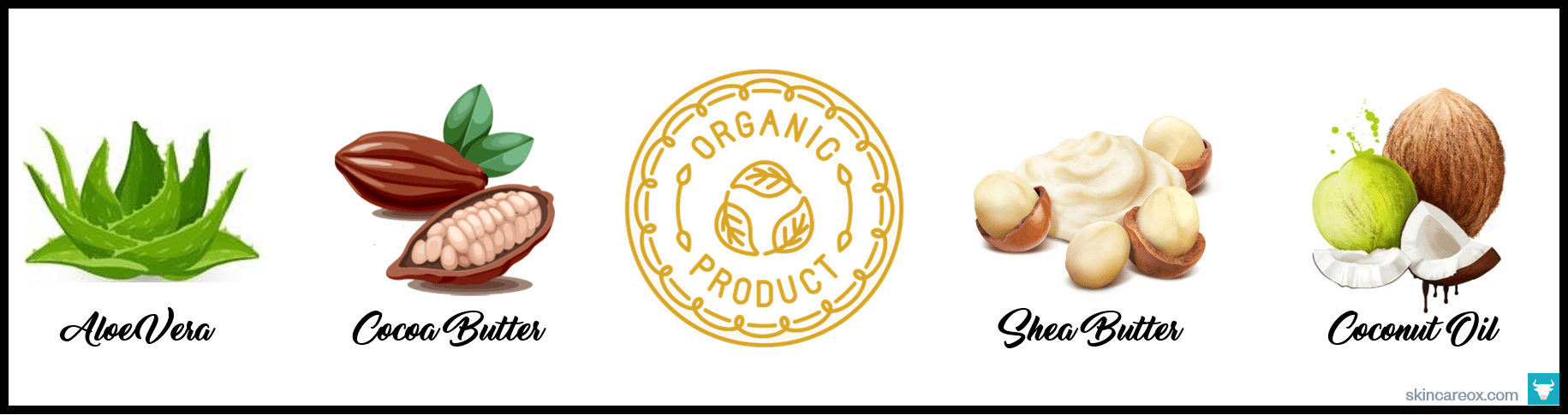 40 Best Organic Body Lotions, Butters, and Serums of 2020 - Skin Care Ox