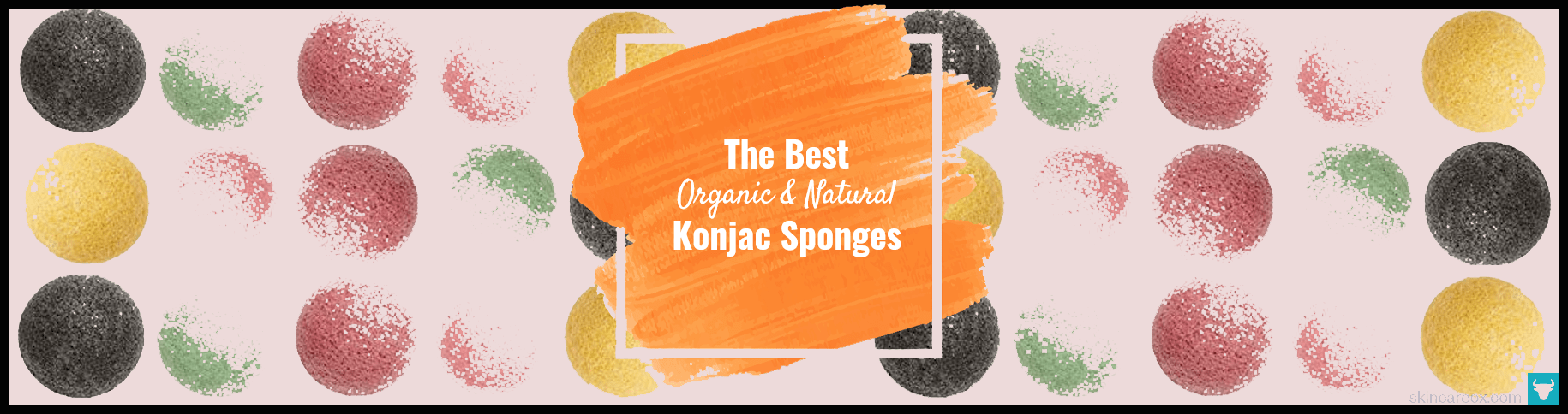 10 Best Konjac Sponges of 2019 for Every Skin Type - Skin Care Ox